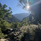 Krom River Trail, Western Cape, South Africa - 311 Reviews, Map | AllTrails