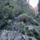 Krom River Trail, Western Cape, South Africa - 311 Reviews, Map | AllTrails