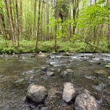 Alsea Falls and Green Peak Falls, Oregon - 1,184 Reviews, Map | AllTrails