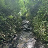 Tintern Abbey and Devil's Pulpit Circular, Monmouthshire, Wales - 759 ...