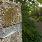 Hawksbill Loop Trail, Virginia - 4,451 Reviews, Map | AllTrails