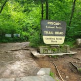 Looking Glass Rock Trail, North Carolina - 7,328 Reviews, Map | AllTrails