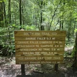 Savage Falls, Tennessee - 819 Reviews, Map | AllTrails