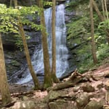 Sill Branch Falls, Tennessee - 740 Reviews, Map | AllTrails
