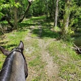 Pyramid State Park Loop Trail, Illinois - 235 Reviews, Map | AllTrails