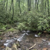 Bear Creek and Pinhoti Loop, Georgia - 603 Reviews, Map | AllTrails