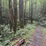 Bear Creek and Pinhoti Loop, Georgia - 603 Reviews, Map | AllTrails