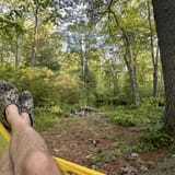 Thunder Swamp Trail, Pennsylvania - 50 Reviews, Map | AllTrails