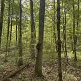 Thunder Swamp Trail, Pennsylvania - 50 Reviews, Map | AllTrails
