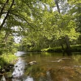 Thunder Swamp Trail, Pennsylvania - 50 Reviews, Map | AllTrails