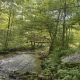 Thunder Swamp Trail, Pennsylvania - 50 Reviews, Map | AllTrails