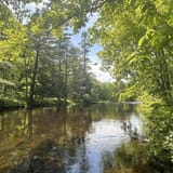 Thunder Swamp Trail, Pennsylvania - 54 Reviews, Map | AllTrails