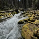 Karst Spring Trail, Alberta, Canada - 913 Reviews, Map | AllTrails