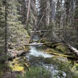 Karst Spring Trail, Alberta, Canada - 913 Reviews, Map | AllTrails
