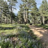 Shanahan Ridge Trail, Colorado - 3,329 Reviews, Map | AllTrails