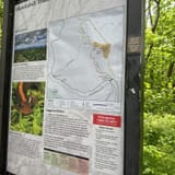 Hawksbill Loop Trail, Virginia - 4,451 Reviews, Map | AllTrails