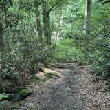 Kelly's Run Loop Trail, Pennsylvania - 3,458 Reviews, Map | AllTrails