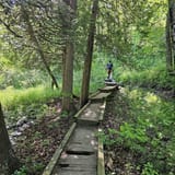 The Manistee River Loop Trail, Michigan - 1,945 Reviews, Map | AllTrails