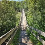 The Manistee River Loop Trail, Michigan - 1,945 Reviews, Map | AllTrails