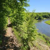 The Manistee River Loop Trail, Michigan - 1,945 Reviews, Map | AllTrails