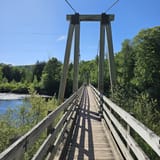 The Manistee River Loop Trail, Michigan - 1,945 Reviews, Map | AllTrails