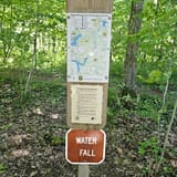 The Manistee River Loop Trail, Michigan - 1,945 Reviews, Map | AllTrails