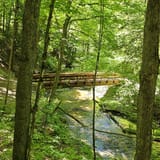 The Manistee River Loop Trail, Michigan - 2,090 Reviews, Map | AllTrails