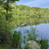 Farmsite Simmons Pond Loop, Rhode Island - 691 Reviews, Map | AllTrails
