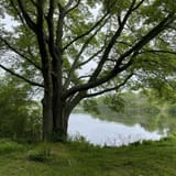 Farmsite Simmons Pond Loop, Rhode Island - 691 Reviews, Map | AllTrails