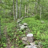 Farmsite Simmons Pond Loop, Rhode Island - 691 Reviews, Map | AllTrails