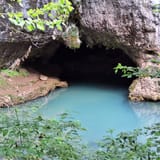 Cave Spring Loop Trail, Missouri - 373 Reviews, Map | AllTrails