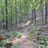 Cave Spring Loop Trail, Missouri - 373 Reviews, Map | AllTrails