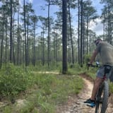 Munson Hills Trail, Florida - 647 Reviews, Map | AllTrails