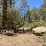 Red Rock Spring Trail to Highline Trail, Arizona - 60 Reviews, Map ...