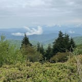 Roan High Knob via Appalachian Trail, North Carolina - 237 Reviews, Map ...