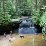 Rock Bridge Trail, Kentucky - 3,522 Reviews, Map | AllTrails