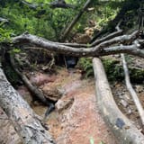 Red Bluff, Mississippi - 446 Reviews, Map | AllTrails