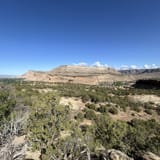 Palisade Rim Trail, Colorado - 1,576 Reviews, Map | AllTrails