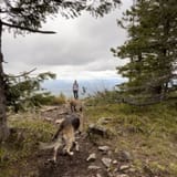 Chilco Mountain Trail, Idaho - 681 Reviews, Map | AllTrails