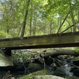 Whitestone Cliffs Trail, Connecticut - 609 Reviews, Map | AllTrails