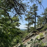 Whitestone Cliffs Trail, Connecticut - 609 Reviews, Map | AllTrails