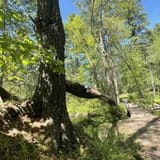 Catamount Hill Trail and One Mile Trail Loop, New Hampshire - 648 ...
