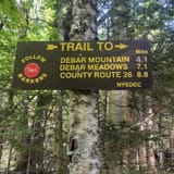 Debar Mountain Trail, New York - 202 Reviews, Map | AllTrails