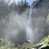 Watson Falls, Oregon - 1,164 Reviews, Map | AllTrails