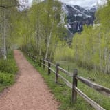 Telluride River Trail, Colorado - 1,203 Reviews, Map | AllTrails