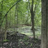 Dow Gardens Canopy Walk, Michigan - 138 Reviews, Map | AllTrails