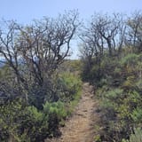 Armstrong Trail to Dawns Trail Loop, Utah - 2,667 Reviews, Map | AllTrails