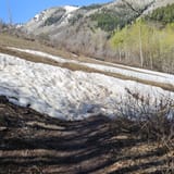 Armstrong Trail to Dawns Trail Loop, Utah - 2,667 Reviews, Map | AllTrails