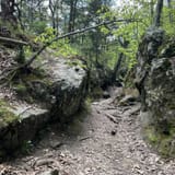 Trail Through Time, Missouri - 2,580 Reviews, Map | AllTrails