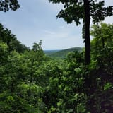 Issaqueena Falls Trail, South Carolina - 872 Reviews, Map | AllTrails
